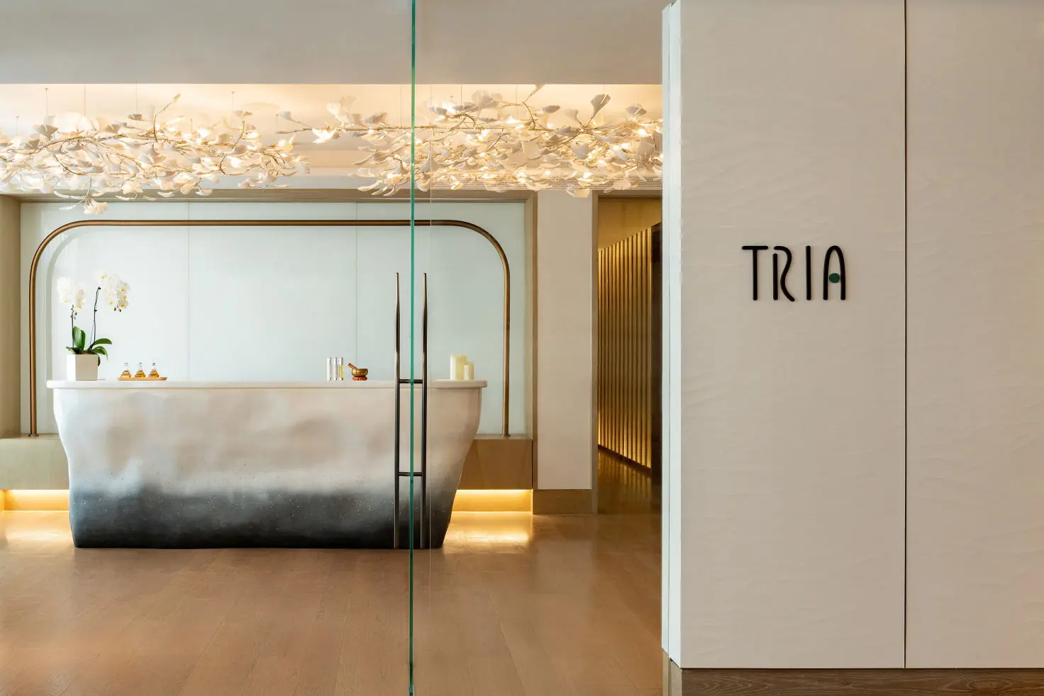 Tria Spa Reception - Red Bird Travel News